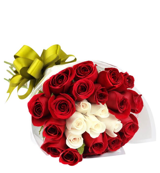 Ramo con 24 Rosas Rojas y Blancas # 1804 – Floreria Briceida – Obregon ...